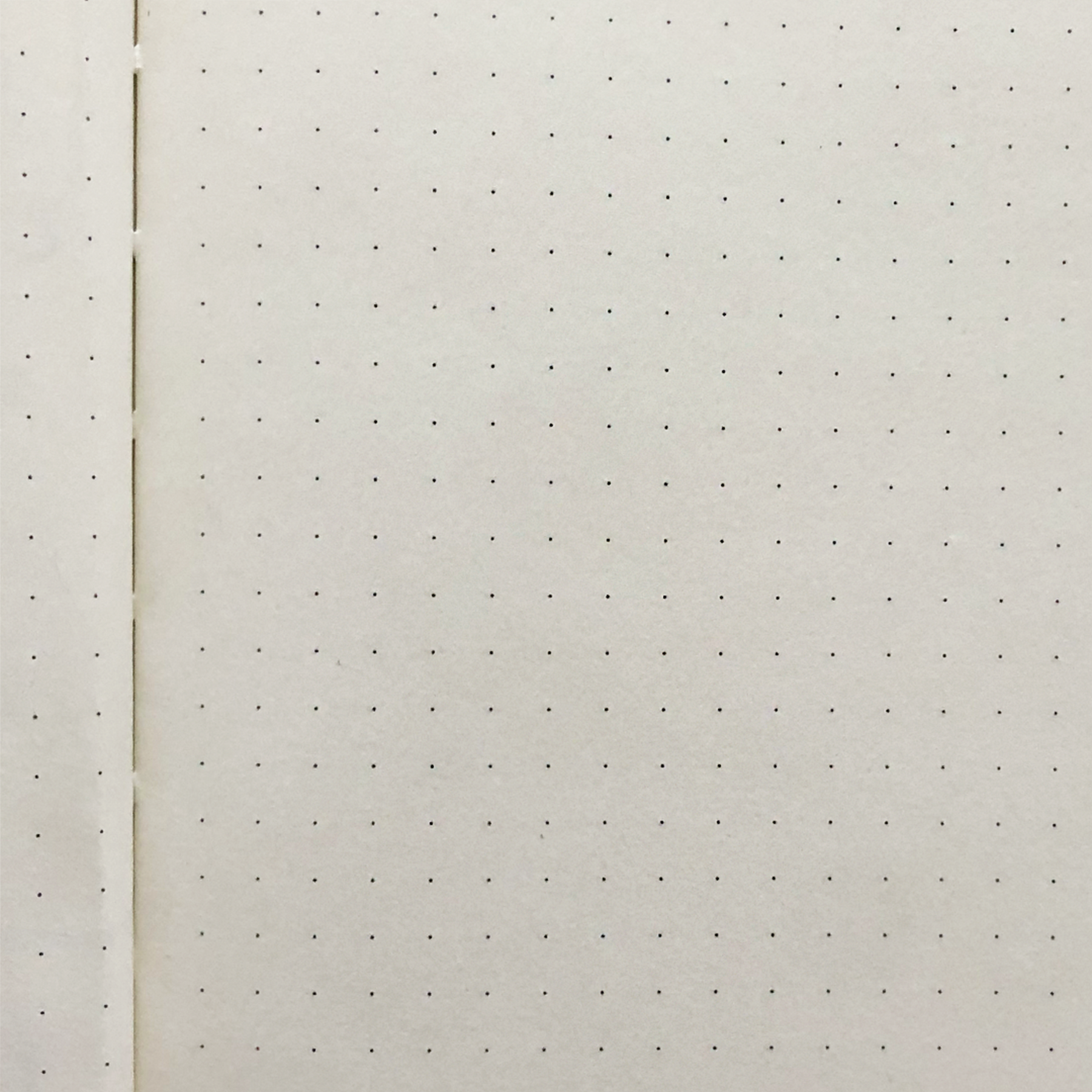 Premium Dotted A5 Designer Journal – The Papery