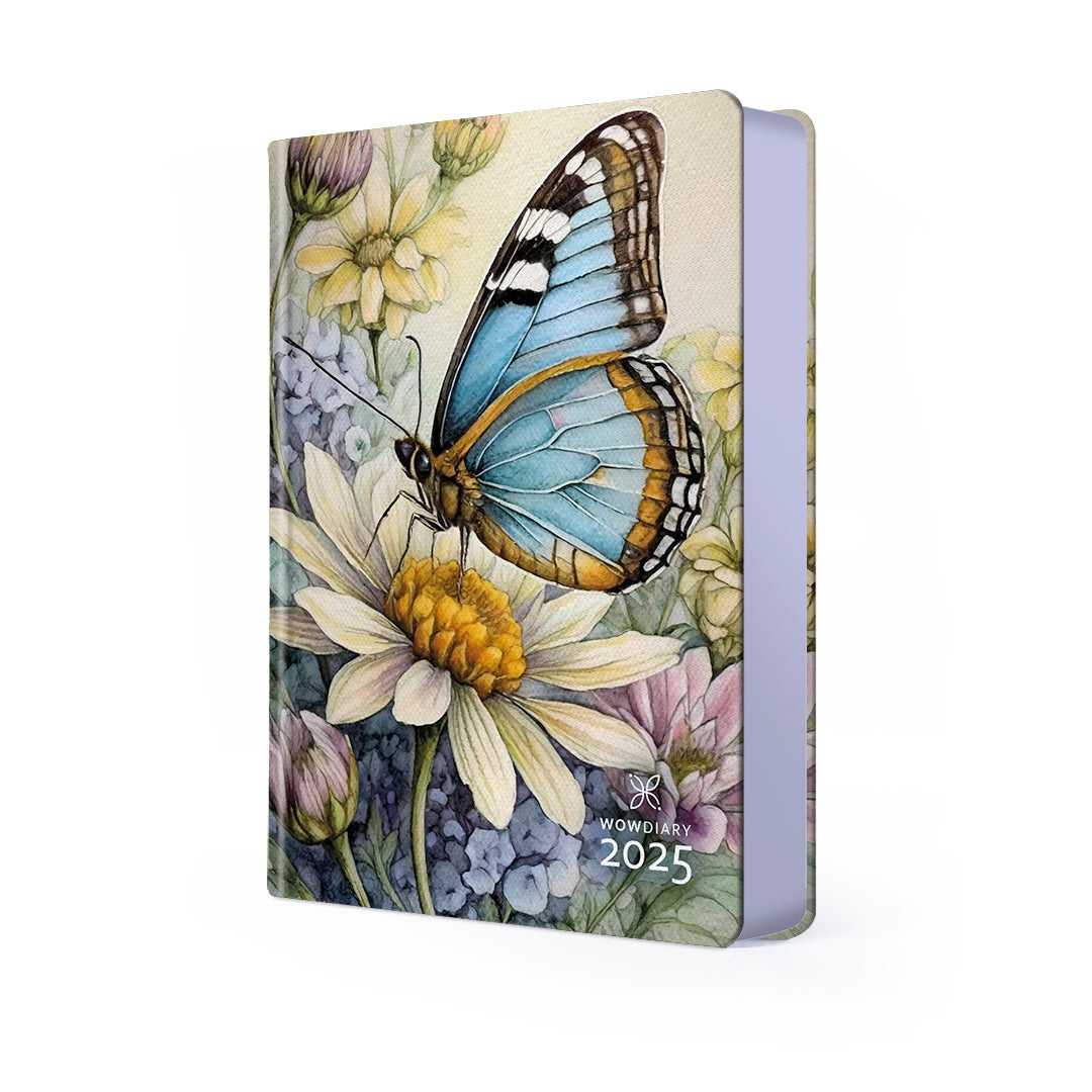 2024 Diary Collection – Wide Variety Of Beautiful Diaries – The Papery
