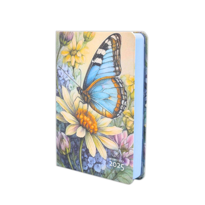 2024 Diary Collection – Wide Variety Of Beautiful Diaries – The Papery
