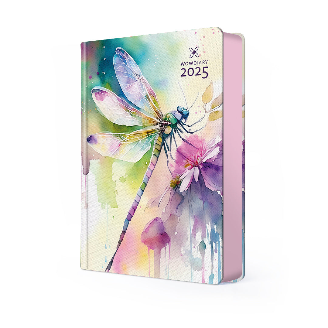 2024 Diary Collection – Wide Variety Of Beautiful Diaries – The Papery