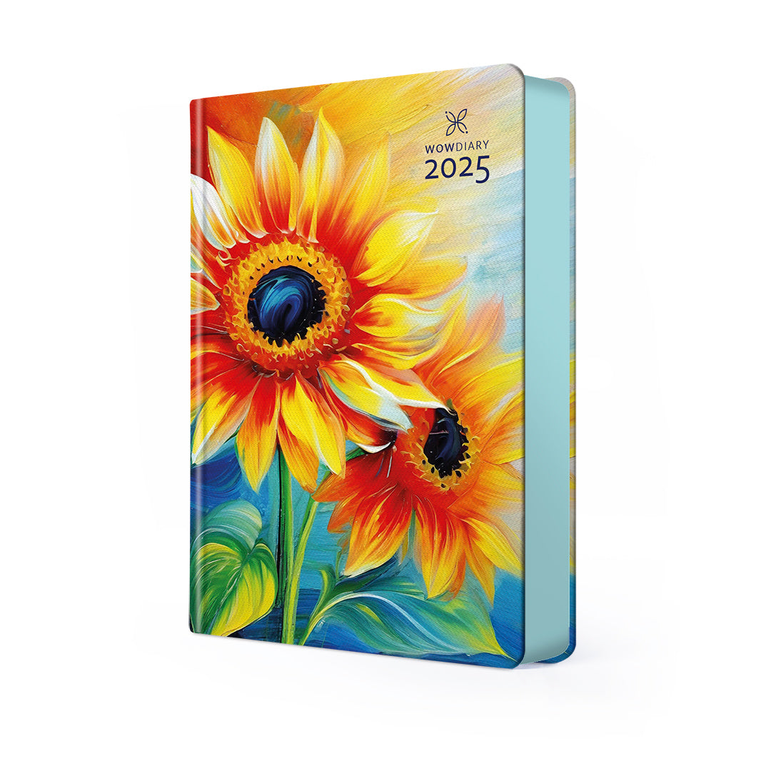 2024 Diary Collection – Wide Variety Of Beautiful Diaries – The Papery