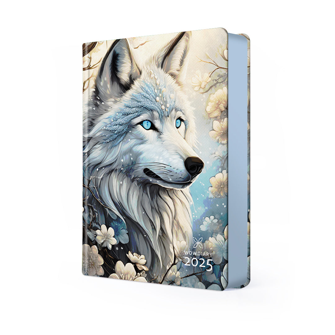 2024 Diary Collection – Wide Variety Of Beautiful Diaries – The Papery