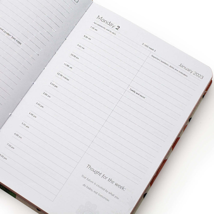 2024 Diary Collection – Wide Variety Of Beautiful Diaries – The Papery
